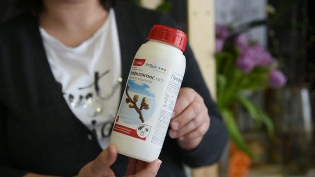 Весенние обработки сада от болезней и вредителей