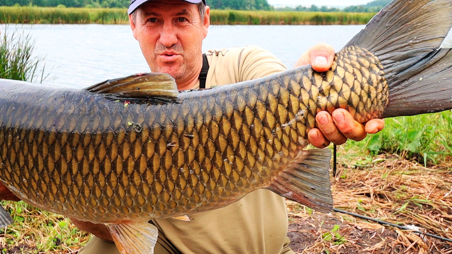 КРУПНОГО БЕЛОГО АМУРА ПРИКАРМЛИВАЛ 2  СУТОК. ГОТОВИМ ВКУСНЕЙЮШУЮ ГОВЯДИНУ НА РЫБАЛКЕ.