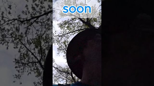 Иду 50 км от Павловска до Лахта цента за 1 день #реки #shorts #crazy  #питер #лахта #пешкомпогороду