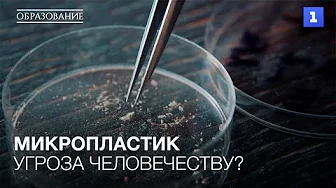 Микропластик – угроза человечеству?