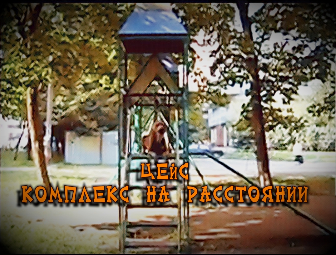 Цейс - ам.стаф.терьер
Комплекс на расстоянии