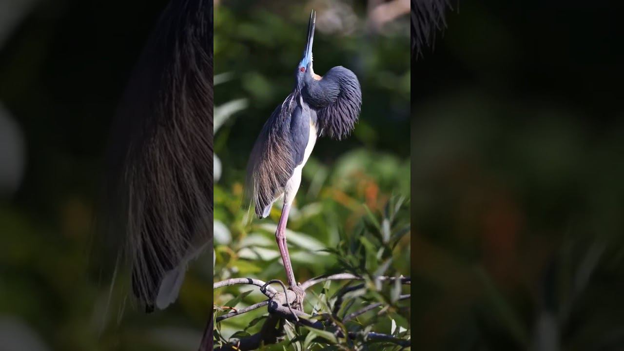 29 октября 2023 г.