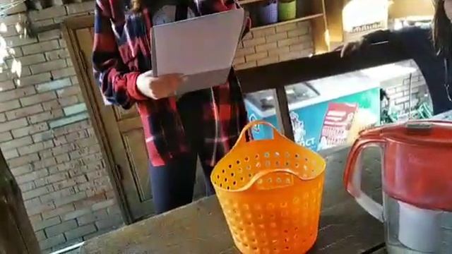 Милые животные!!!