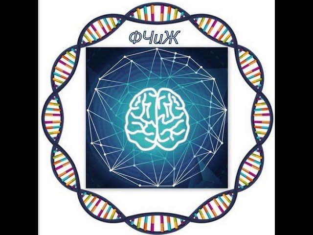 Общая физиология ЦНС  Вопрос 2  Физиология синапсов