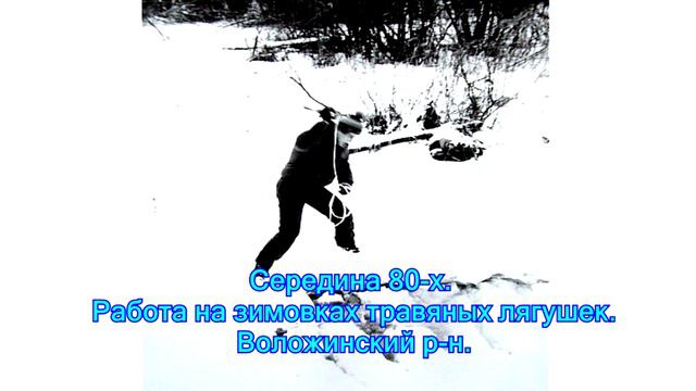 Хроника нашей Синильги Часть 4