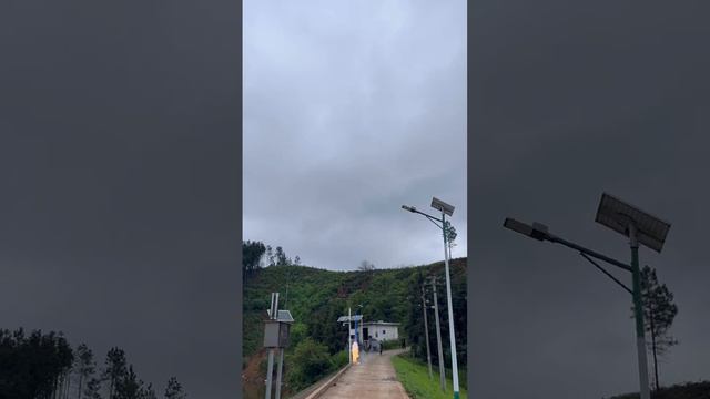 FPS611 BLUE SMOKE CAKE (GENDER PARTY) с разрывом