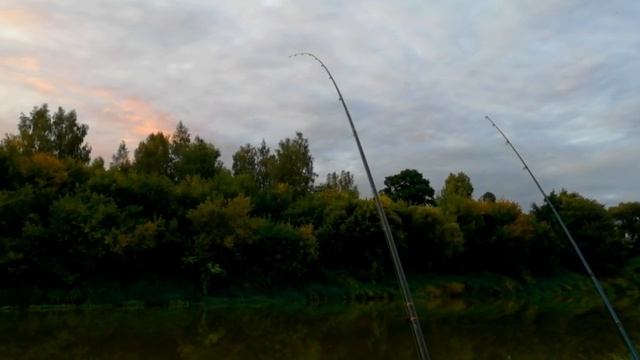 Где сидит сазан 3 часть.