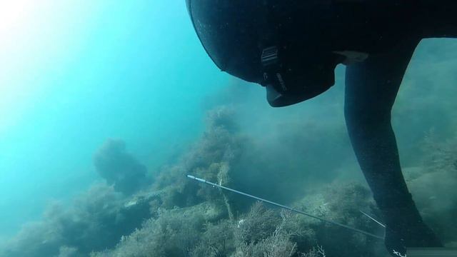 гарпун корабль горбыль