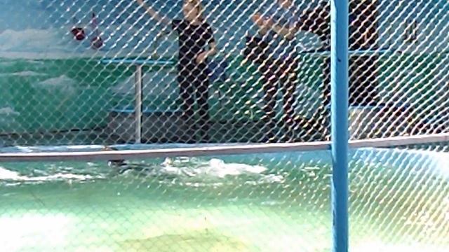 DSCN3905.AVI Краснодар паркСафари парк Галицкого 2021