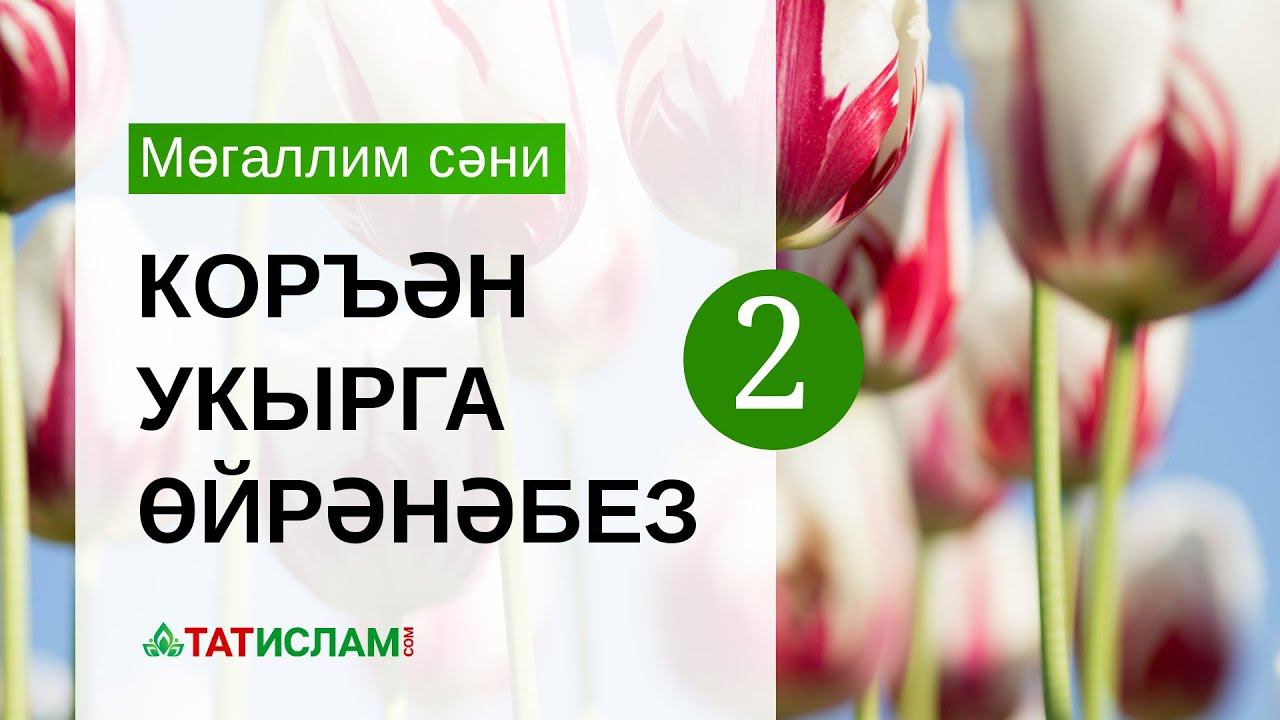2нче дәрес. Хәрәкәләр. Мөгаллим сәни. Тәҗвид белән Коръән укырга өйрәнәбез | Раил Фәйзрахманов