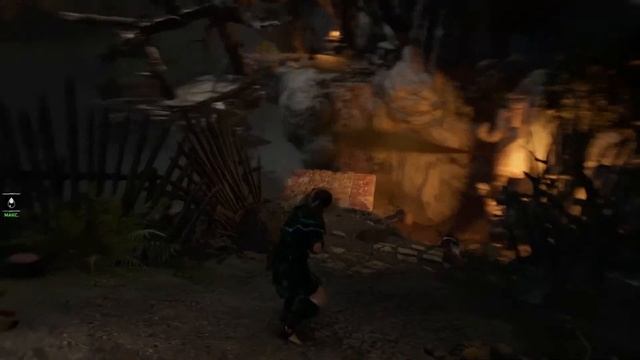Shadow of the Tomb Raider- Прохождение Гробницы Испытаний «Дерево Жизни».mp4