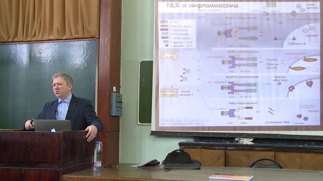 3. Недоспасов С. А. - Иммунология - Передача сигналов от рецепторов врожденного иммунитета.mp4