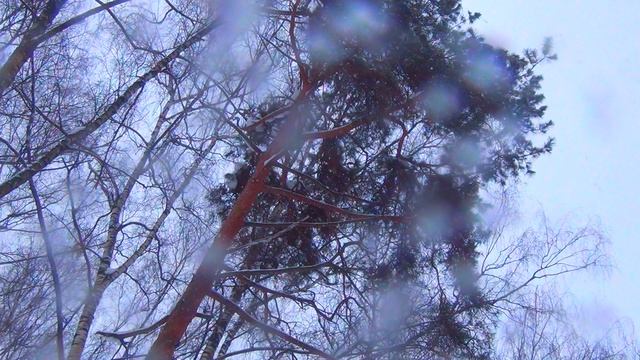 Медитация 172