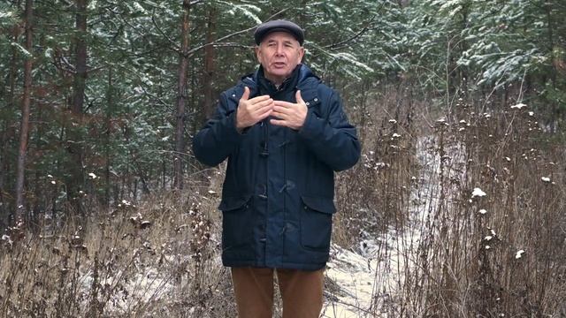 #09 Бальзам для позвоночника. Станислав Лосев_ Как начать чувствовать и включить свое сердце