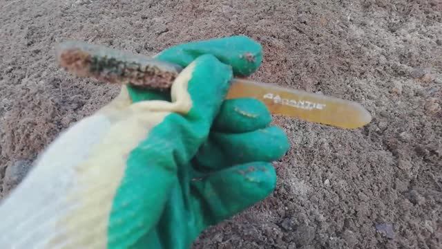 НЕИЗДАННОЕ СЕЗОН 2019. ВОЙНА, СТАРИНА, МОНЕТЫ И ПРОЧЕЕ