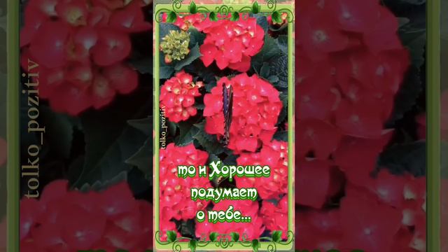 …В жизни всё взаимно!