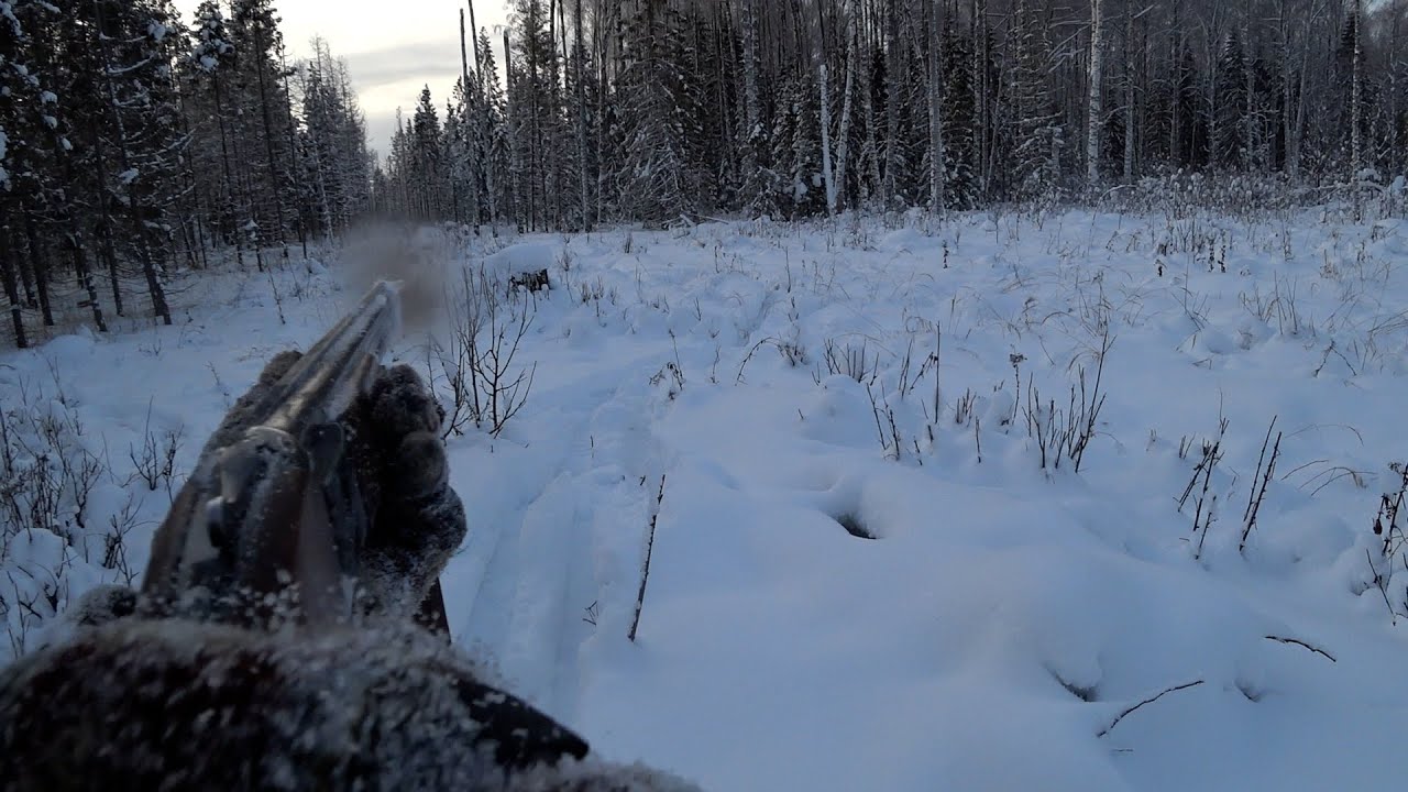 За ЗАЙЦЕМ в январские каникулы! Первый в 2022!