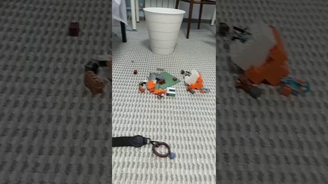 у меня есть шизофрения