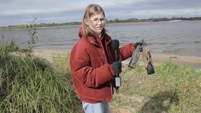 Чисто не там где убираются, а там где не мусорят