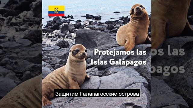 Вы выбираете, в каком мире жить.