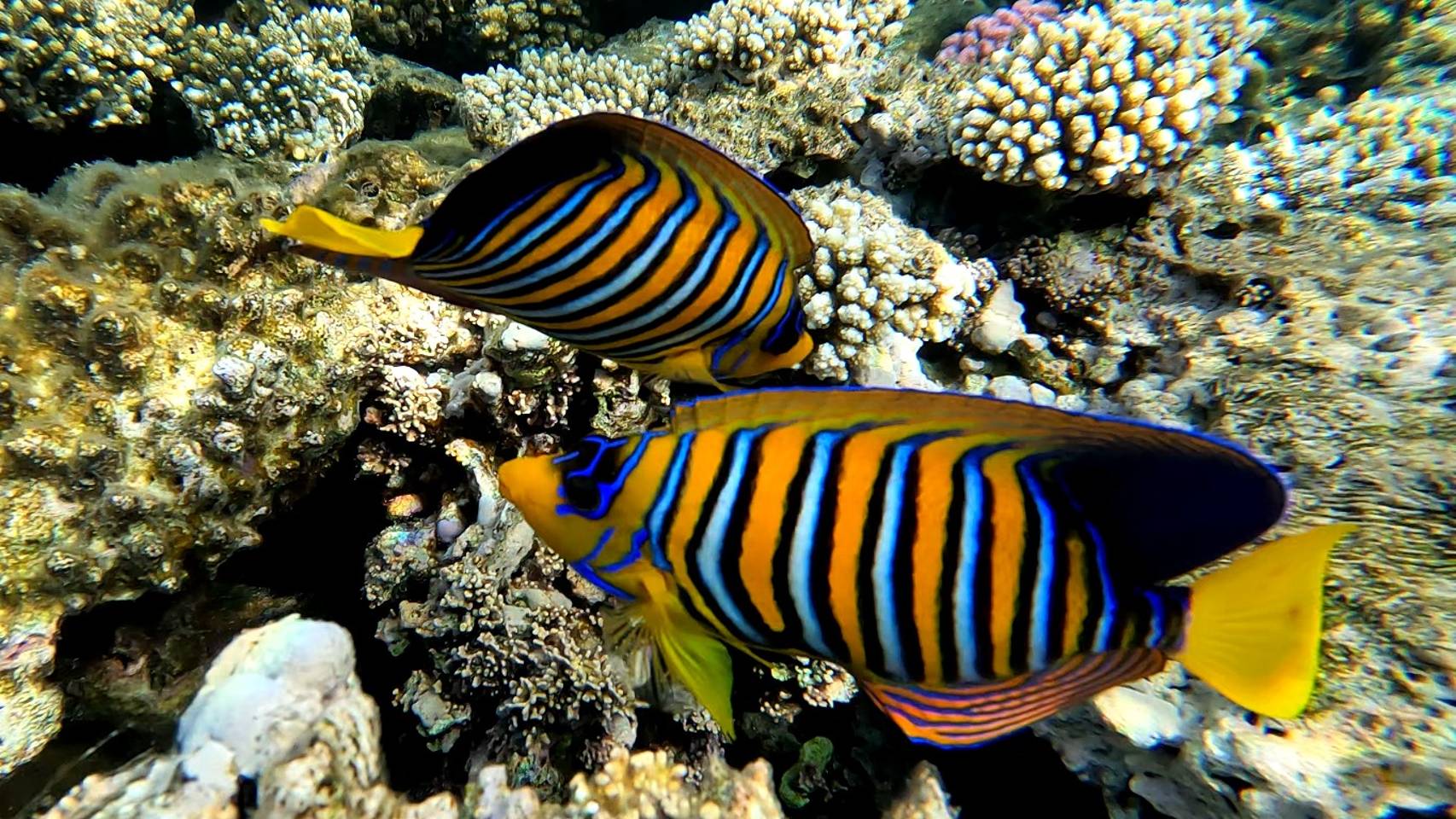 Бухта Шарм-Эль-Майя. Часть-3. Дикий пляж (10-15.05.2023).