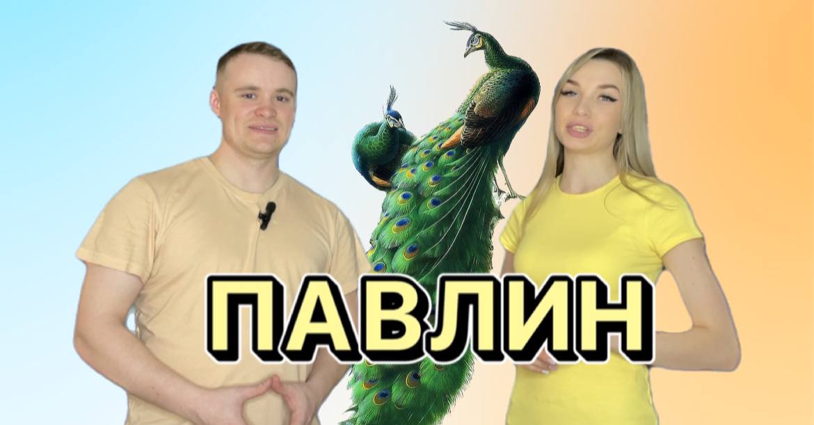 Животный мир. Павлин.