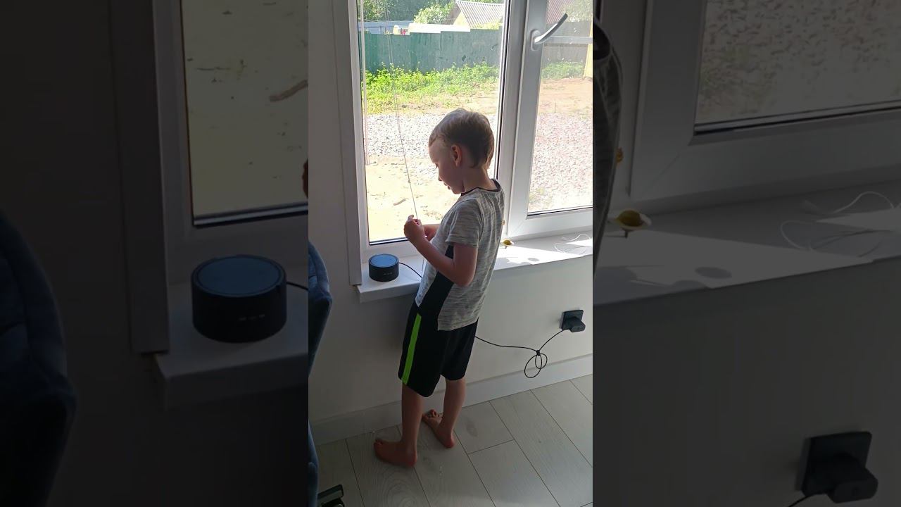 Ребёнок взломал Алису #humor #alice #алиса