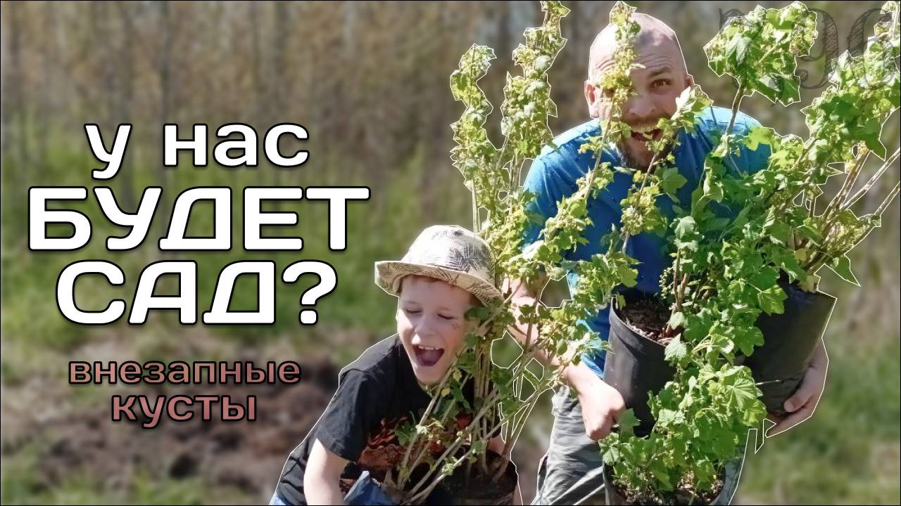 Сажаем Кусты. Смородина. Малина. Рыбалка / Участок с нуля