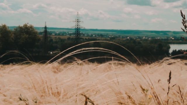 Расслабляющая музыка на фон / Lo-Fi Hip-Hop для учёбы и работы / Лёгкая музыка / Light music