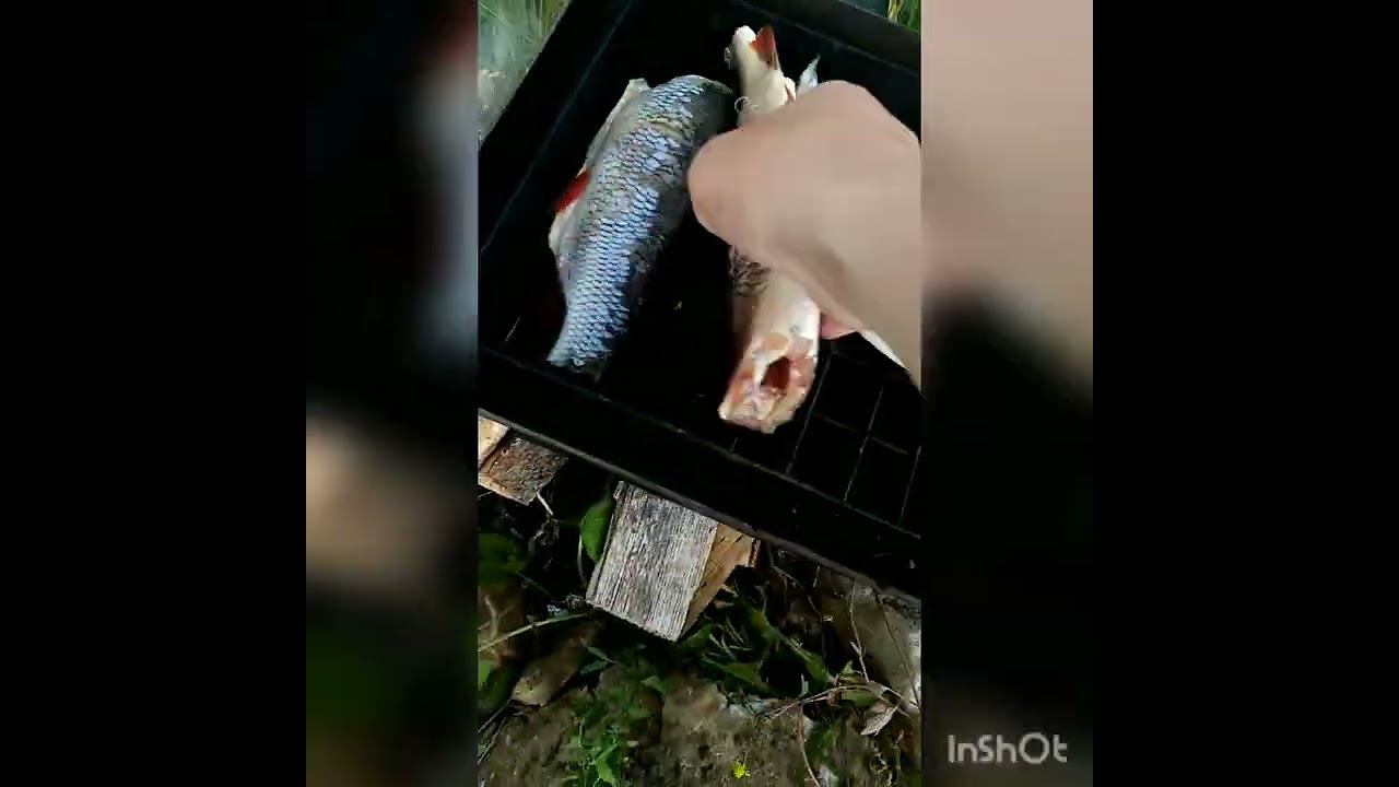 28 июня 2023 г.