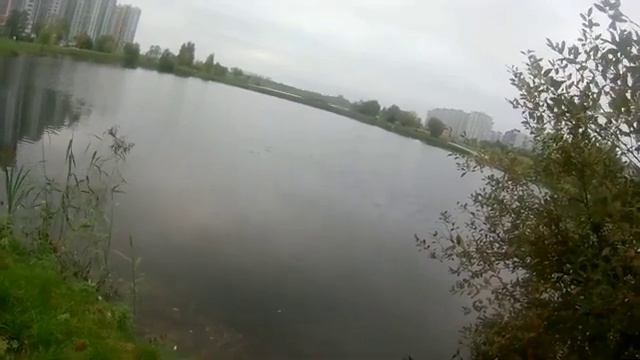 Без названия