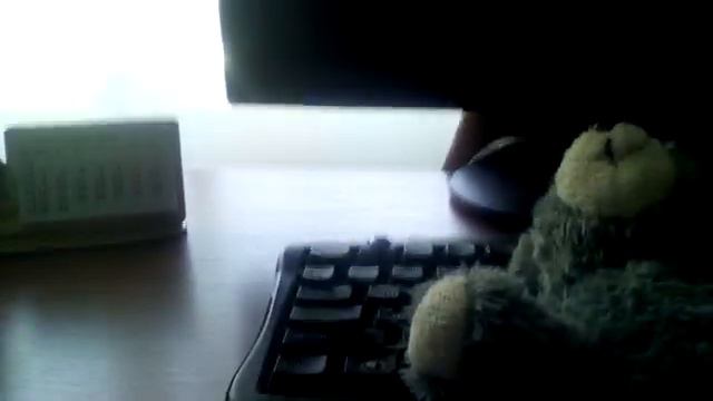 Валера и фейкодс празднуют 1 мая день весны и труда