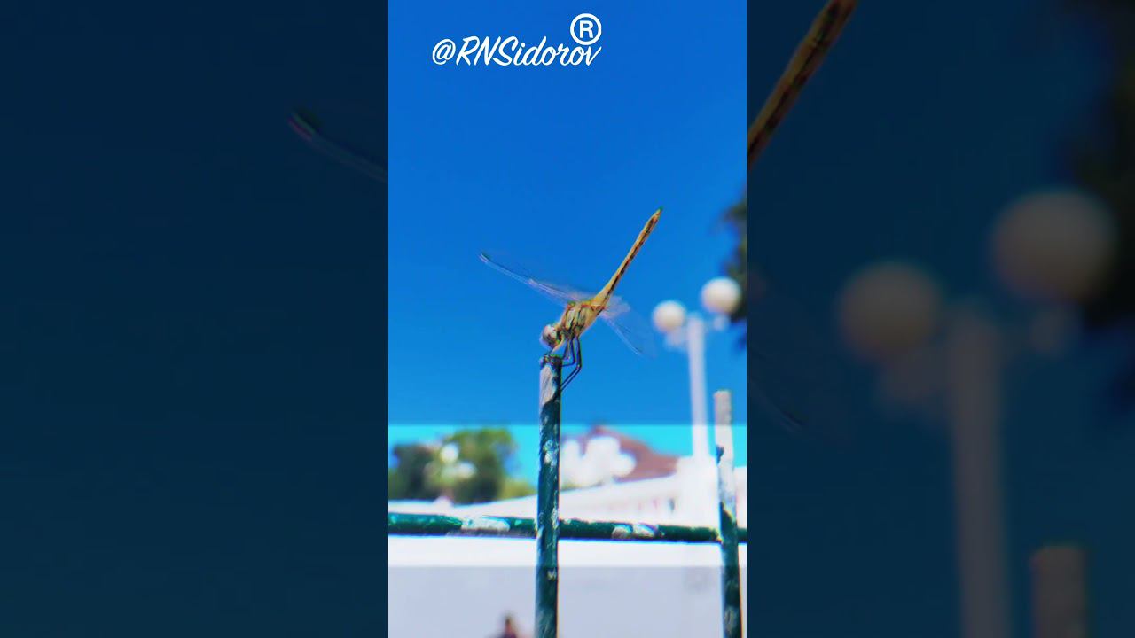 была такая песня )). заходите в гости  https://rnsidorov.wfolio.pro/