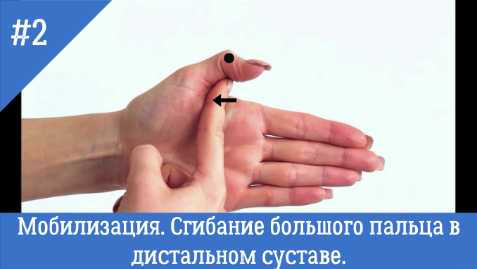 2. Сгибание большого пальца в дистальном суставе.