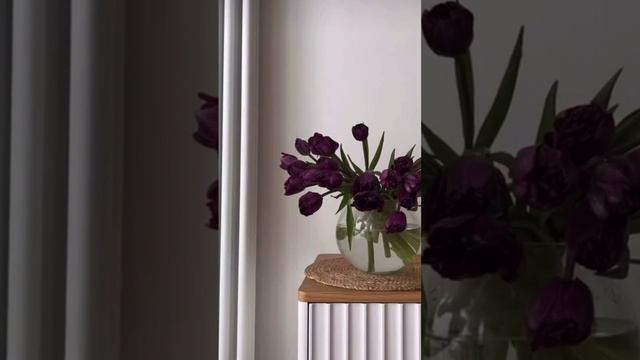 Весна Uliana music