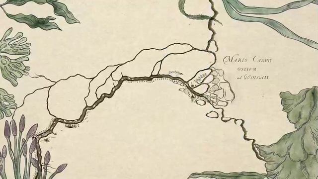 ВОЛГА. ЖИВАЯ РЕКА