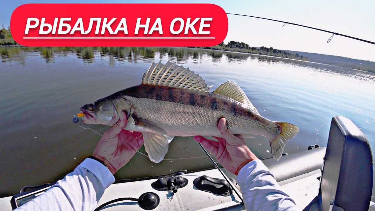НАШЛИ КРУПНЯК! ЭТО ЛУЧШАЯ ЛЕТНЯЯ РЫБАЛКА НА ОКЕ.
