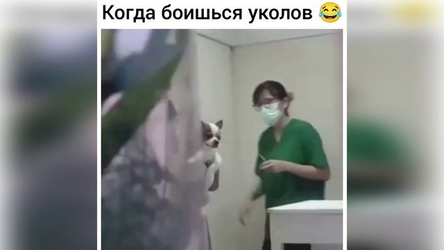 ПРИКОЛЫ ИЗ ТИК ТОК ДЛЯ ВЗРОСЛЫХ | ЧУДИКИ ИЗ ТИК ТОК | ЛУЧШИЕ ПРИКОЛЫ 2022 | НОВЫЕ ПРИКОЛЫ #2