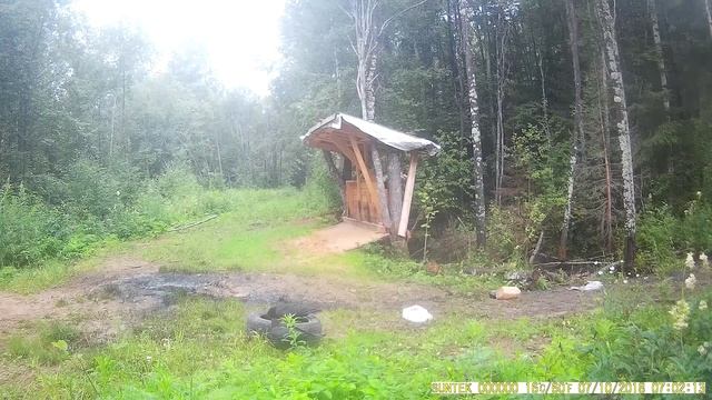 Птицы, запечатленные на фото ловушку. Прилетели черные вороны. Часть № 32