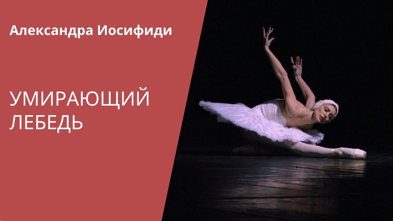 Alexandra Iosifidi - The Dying Swan
