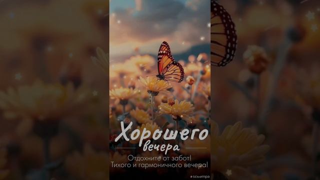 Доброго вечера 💙💜Тишины и спокойствия💞💝