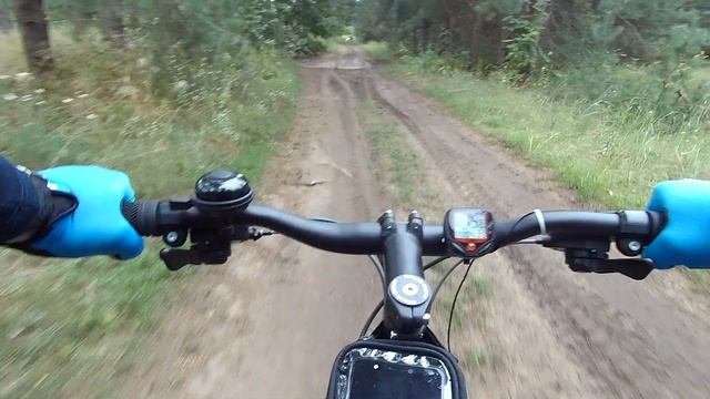 Велопокатушка №3. Через лес на Дальние сады