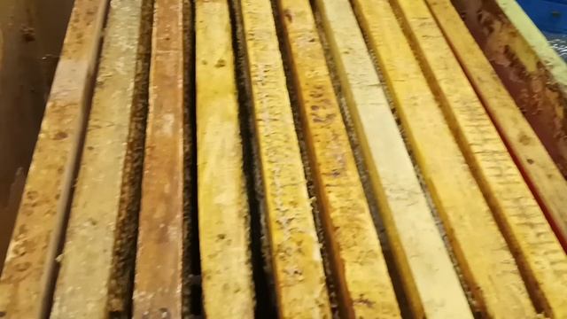 Обработка 2023. Улей № 21 и № 11. Пчеловодство.