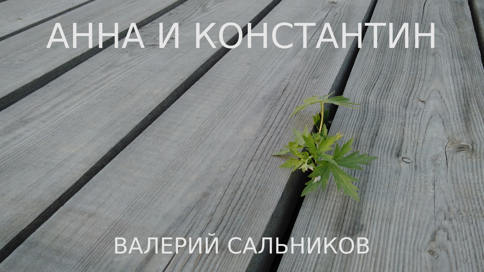 Анна и Константин, 2014. Мини-альбом.