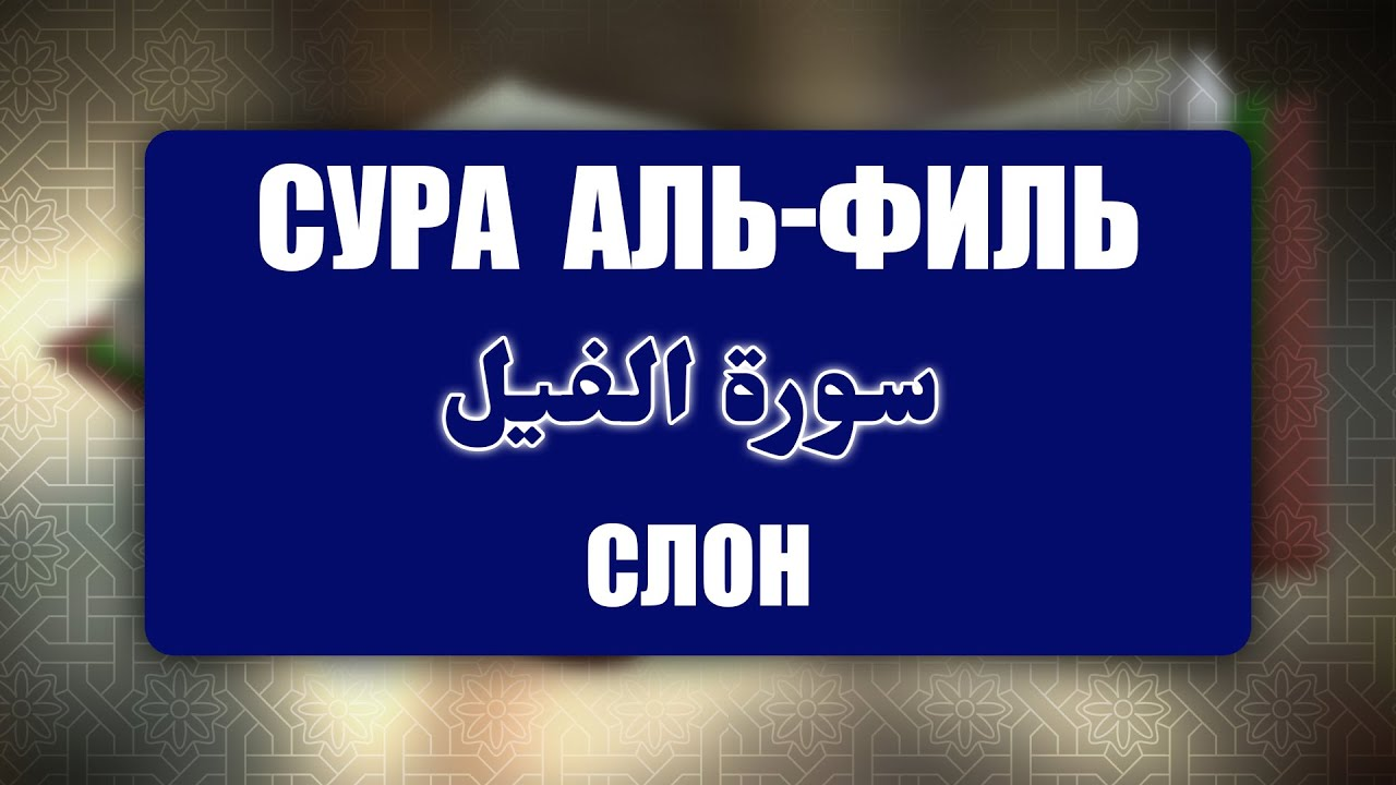 Выучите Коран наизусть | Каждый аят по 10 раз 🌼| Сура 105 Аль-Филь (Слон)