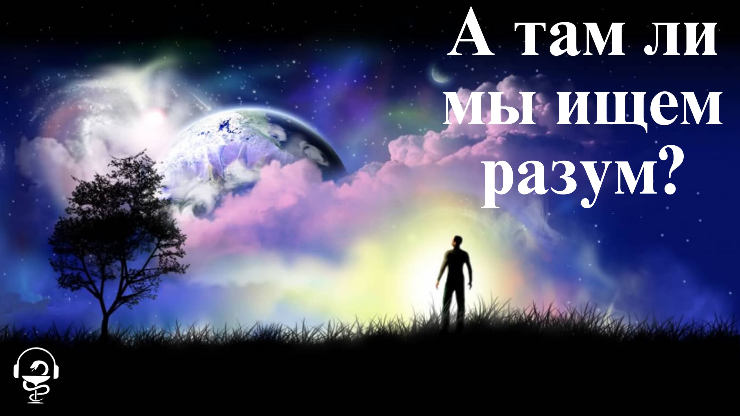 А там ли мы ищем разум