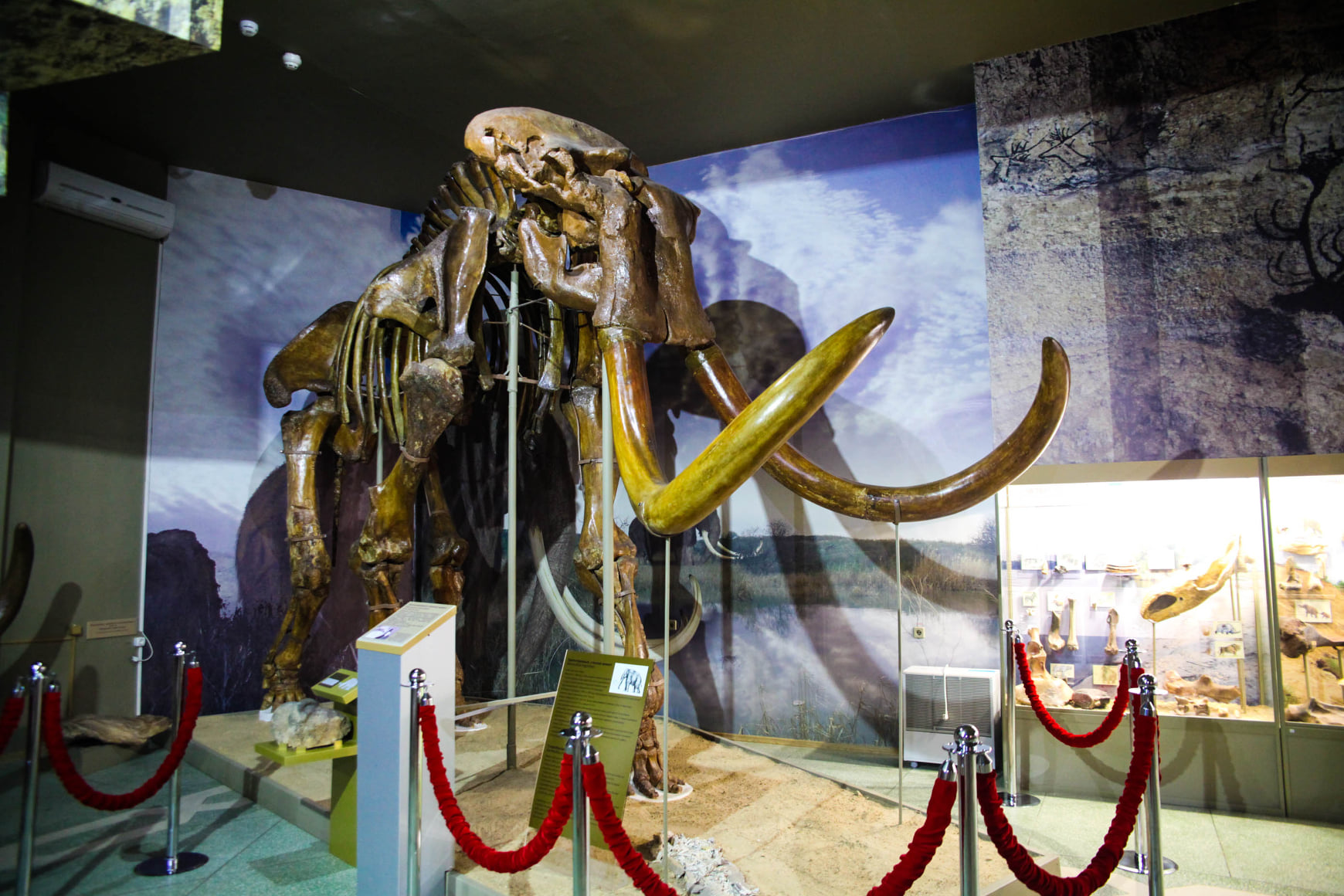 История уникальной находки