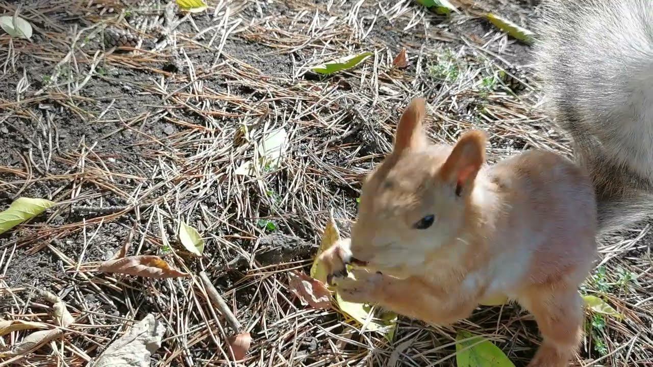 1 октября 2023 г.