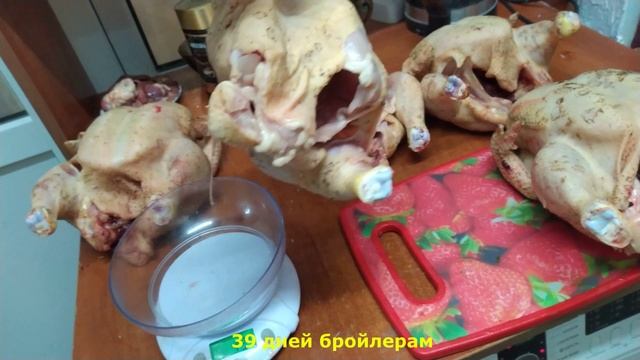 Бройлеры 39 дней. Взвешиваю разделанные тушки .mp4