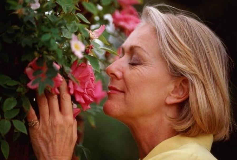 Стареет всё, родившись в этом мире... Автор Макарова Наташа. Стихи о жизни.